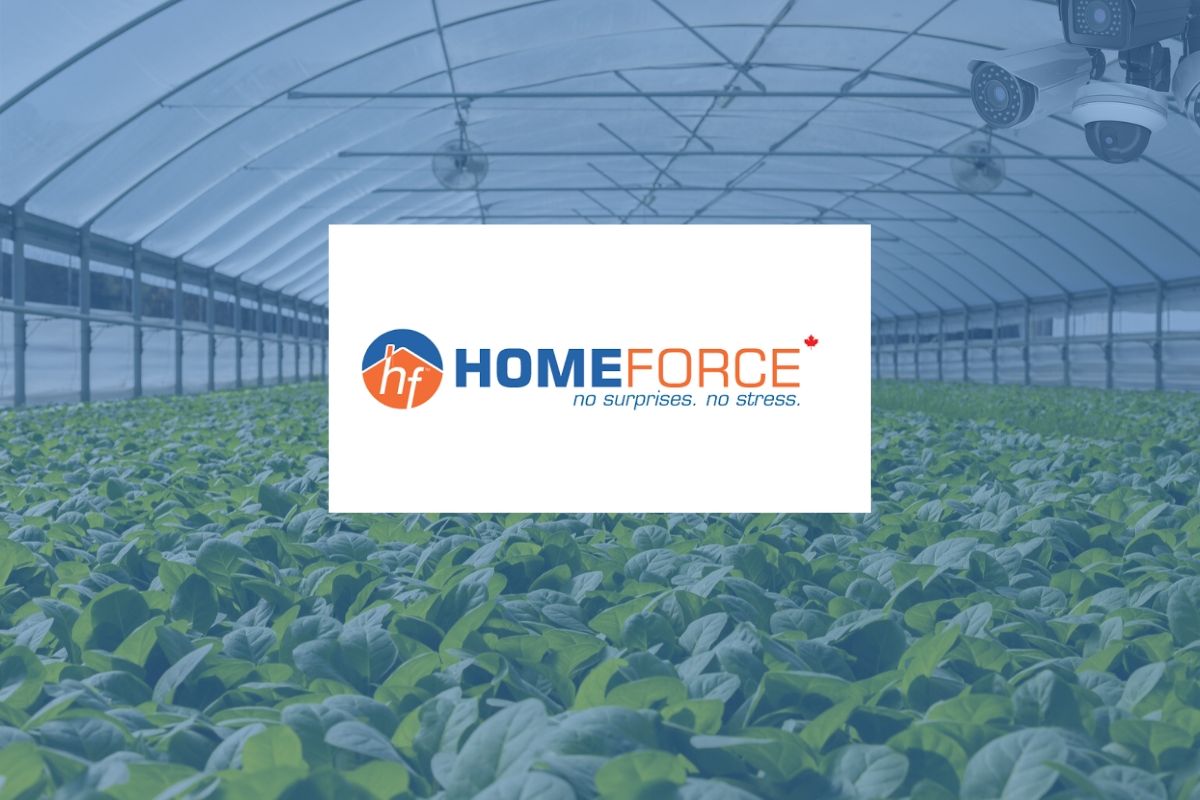Agtech Career Series: Career 2 – Agronomist Agtech Career Series: Career 2 – Agronomist