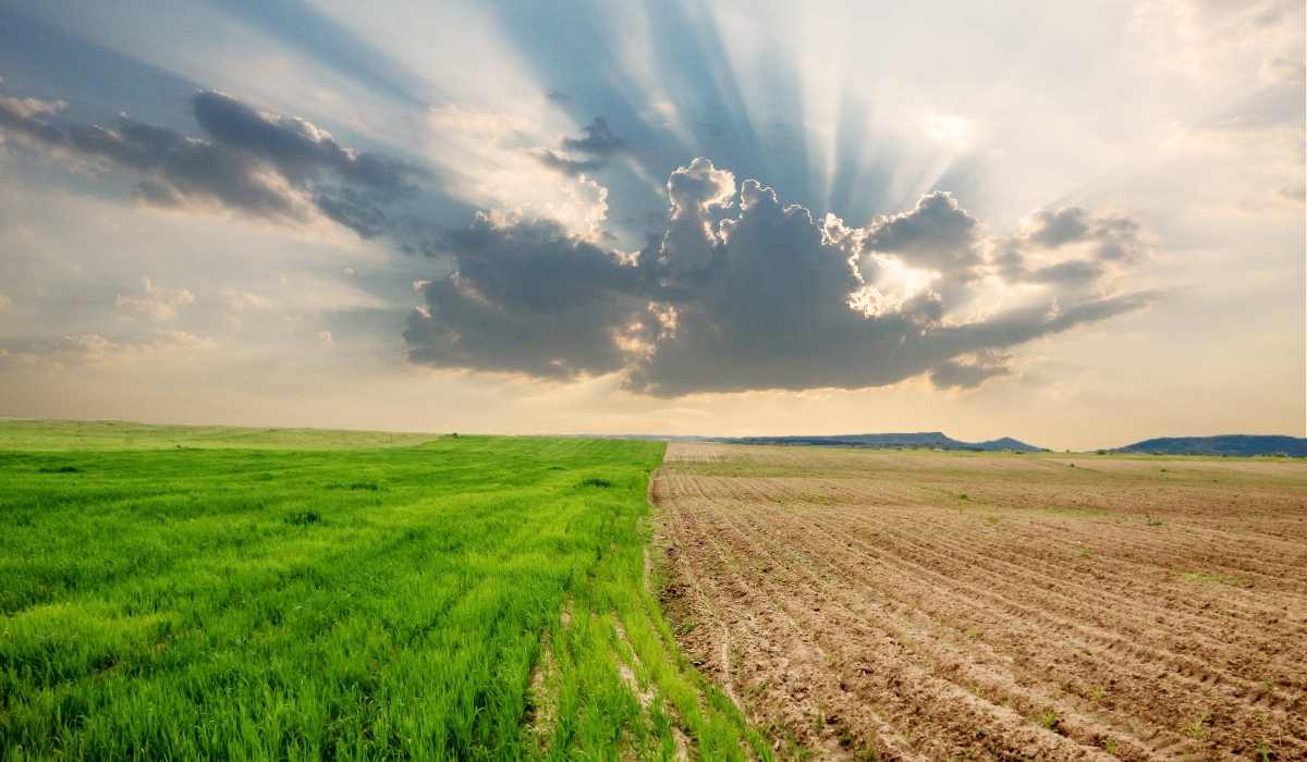 Agtech Career Series: Career 3 – Sustainabiltiy Analyst Agtech Career Series: Career 3 – Sustainabiltiy Analyst